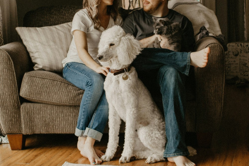 Master the Art of Pet Naming: 100+ Creative Suggestions for Any Style ...